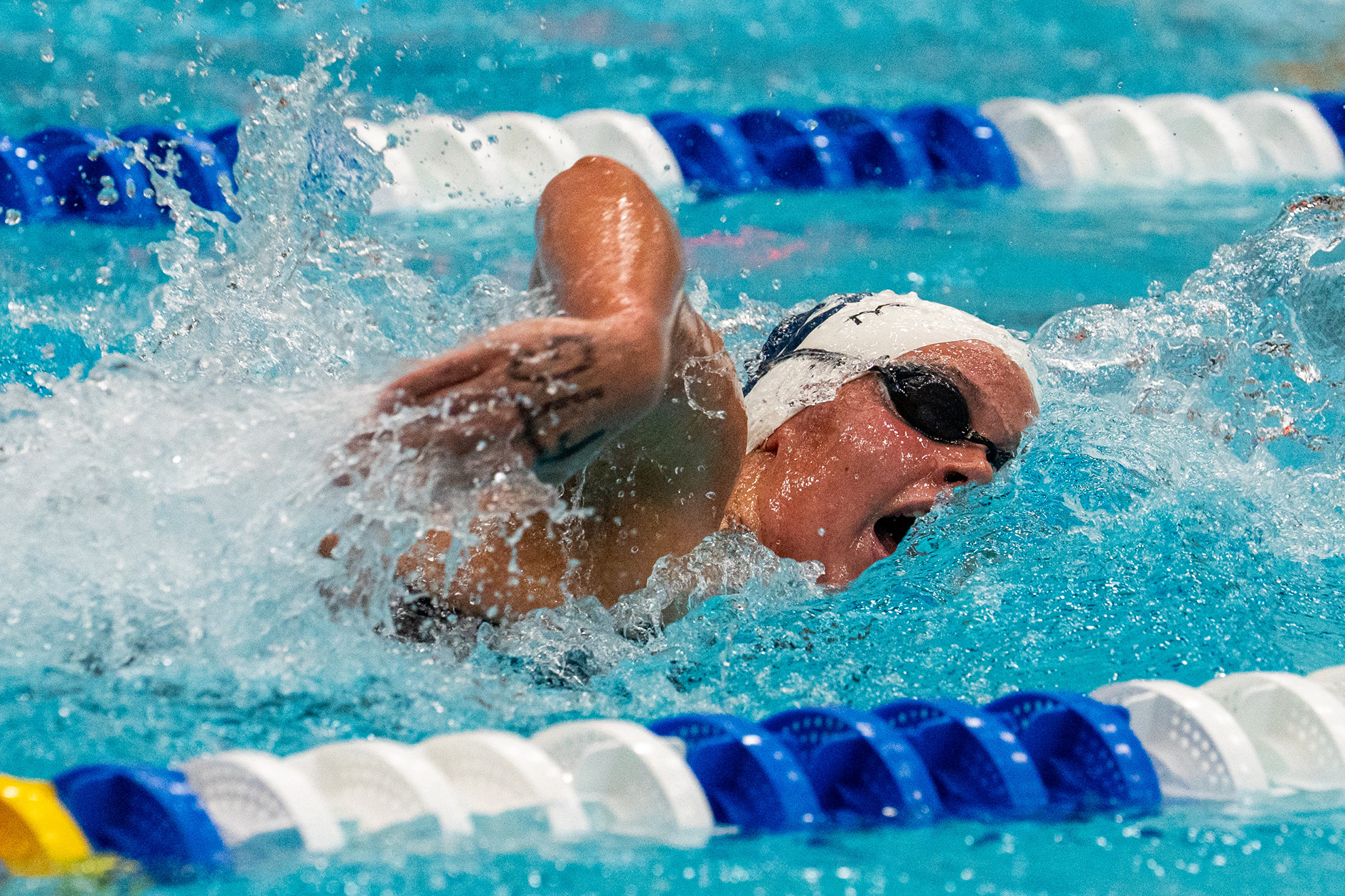 Swimming and Diving Set To Face Princeton in Dual Meet - Penn State ...