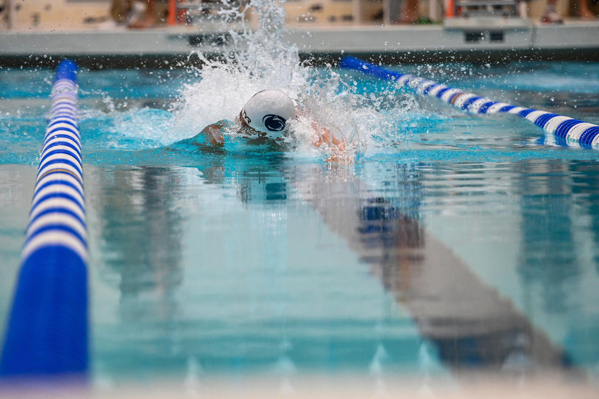 Penn State Swim and Dive Kick Off 2025 Slate in Chicago - Penn State - Official Athletics Website