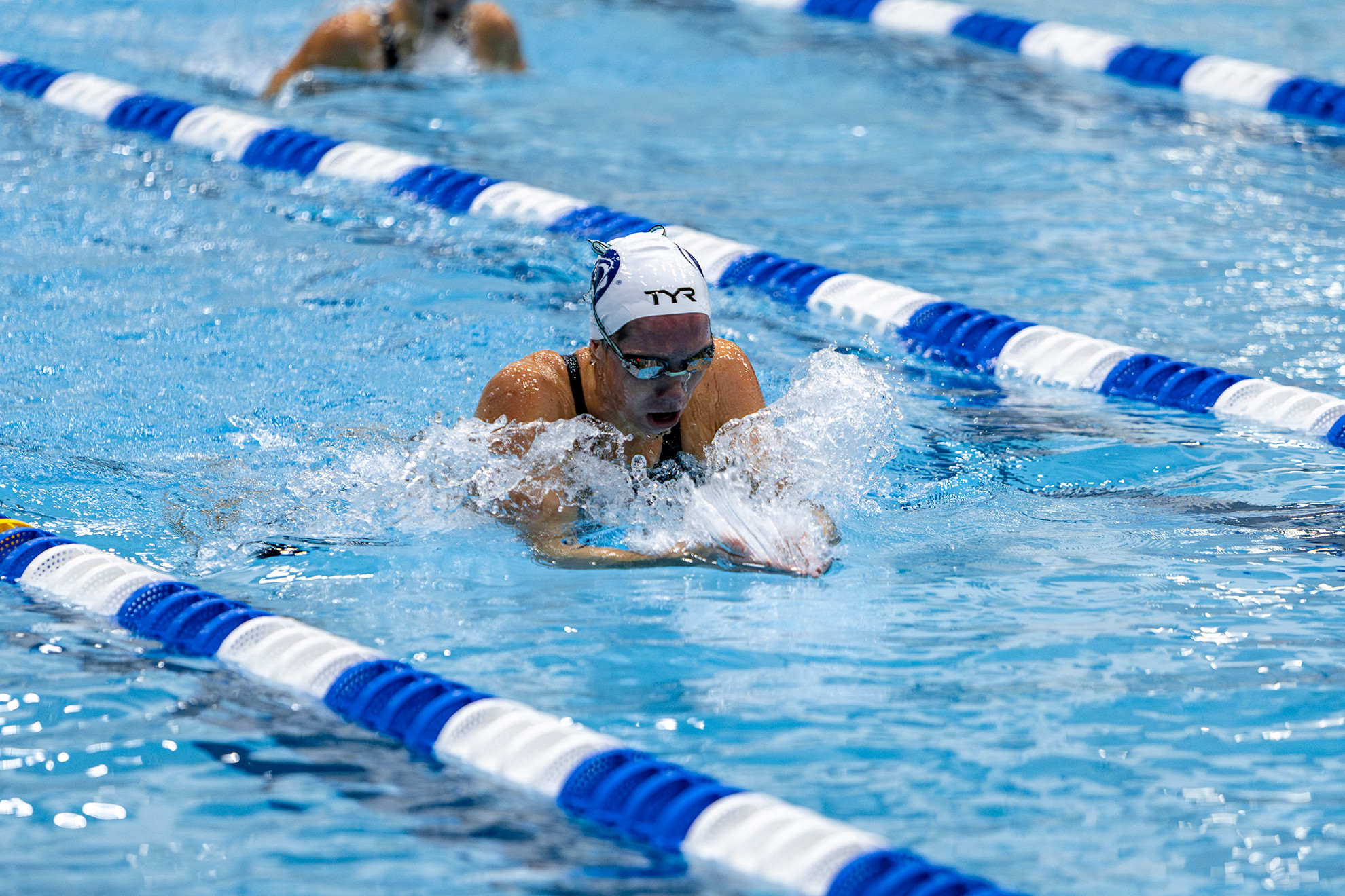 Swimming And Diving Set To Compete In Ohio State Invitational - Penn ...