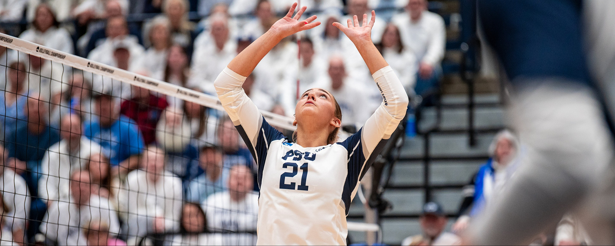 Starck Named National Freshman of the Year; Four Nittany Lions Earn All ...
