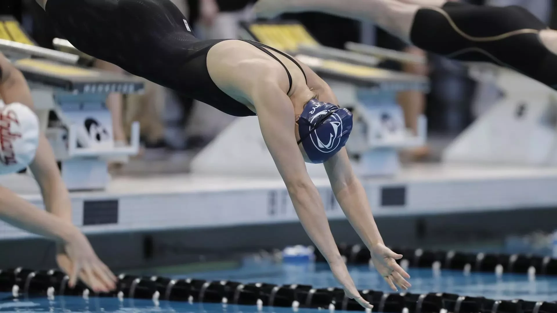 Women's Swimming & Diving Breaks Another School Record on Day Two of ...