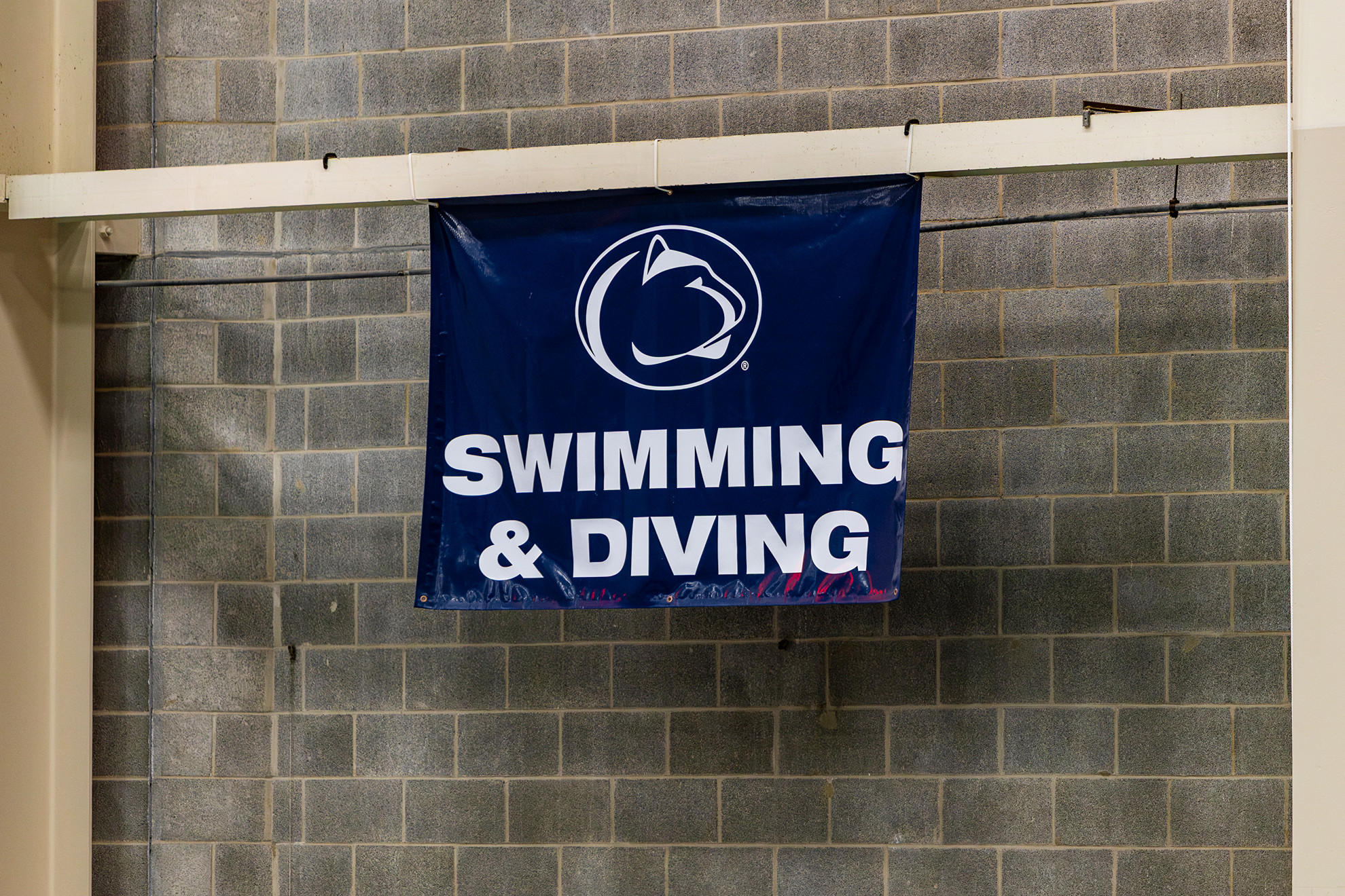 Diving Kicks Off Day One Of Dual Meet Against Army With Strong ...