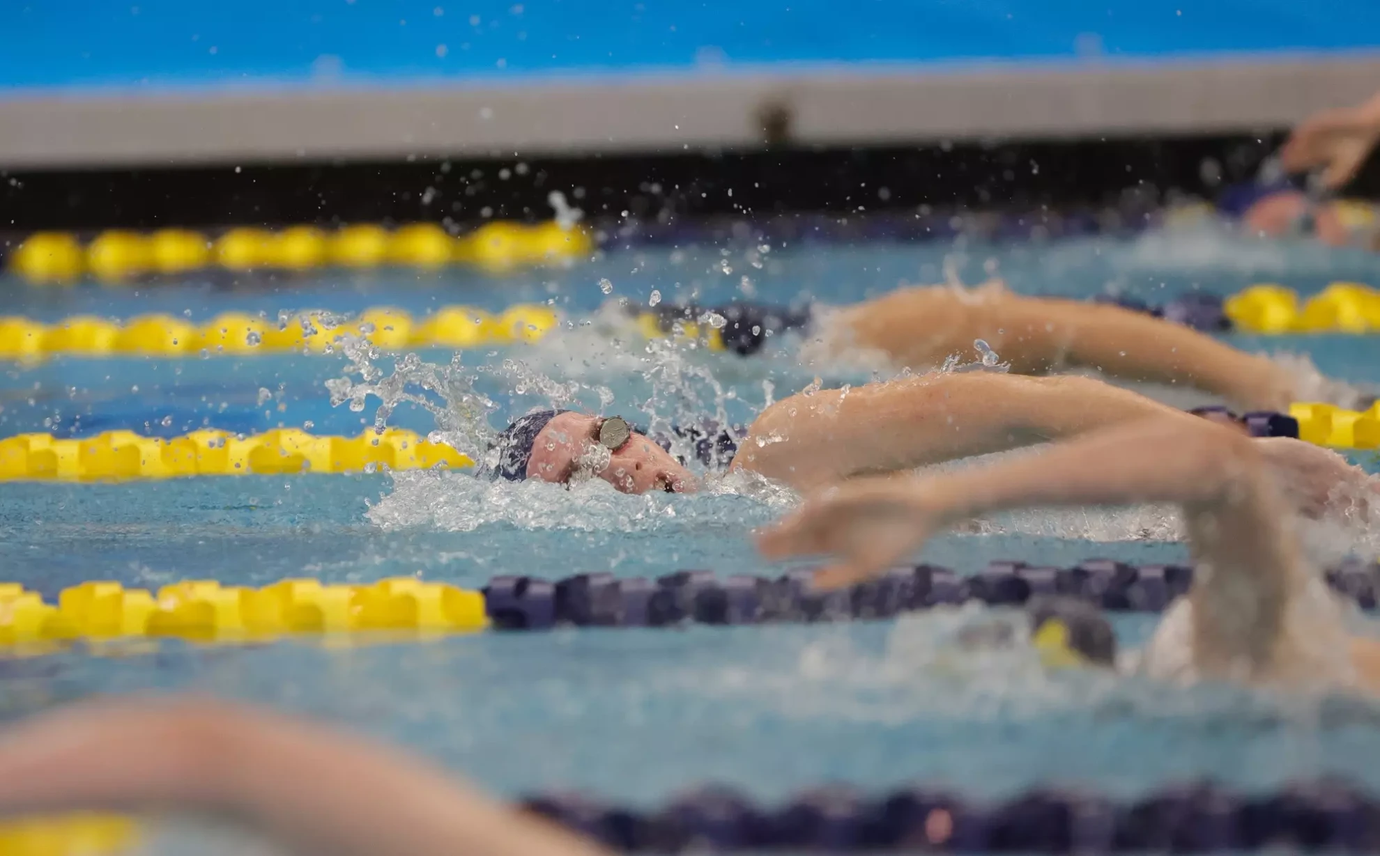 Women’s Swimming & Diving Earn Multiple Top-Eight Finishes on Day Three ...