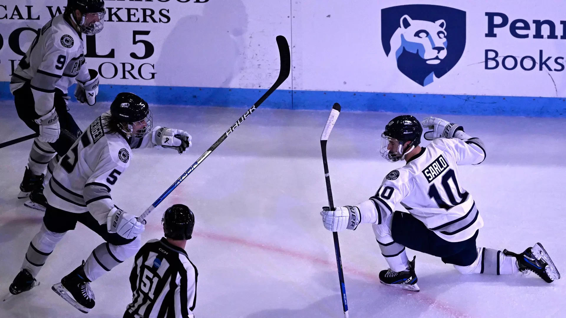 Sarlo Sinks Irish in Comeback Victory, Men's Hockey Earns Series Split ...