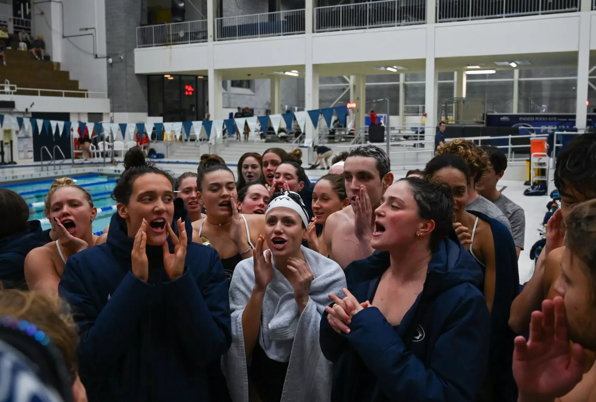 Women's Swimming and Diving Dominates Wildcats to Finish Regular Season ...